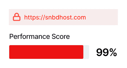 SNBD HOST | Best Hosting Provider In Bangladesh